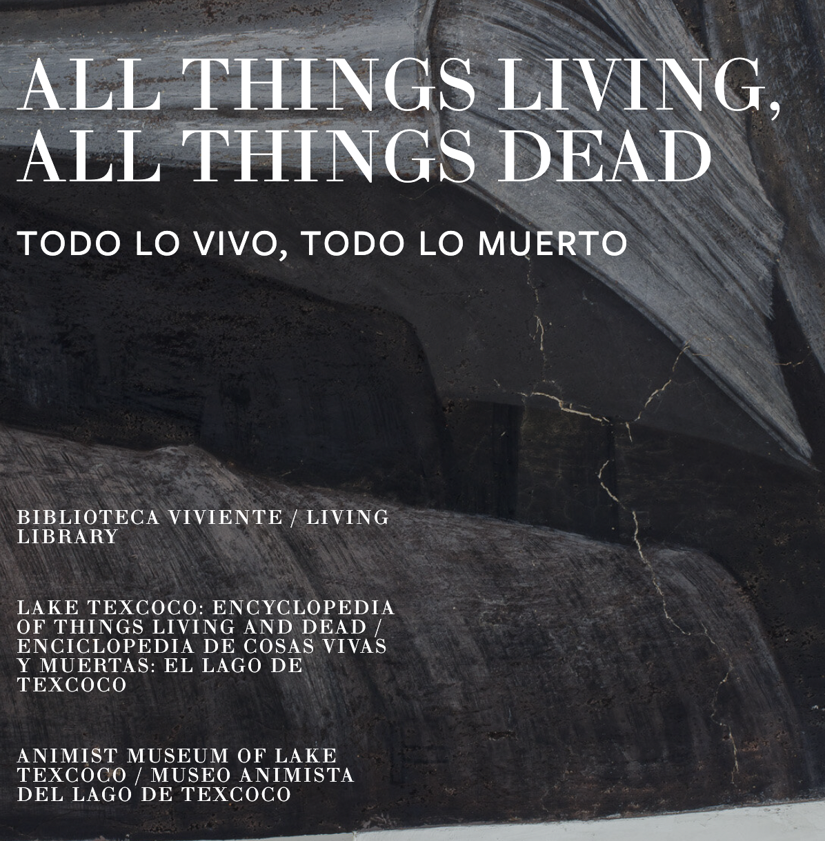 Arte y Alimento – Zanjas y Camellones
